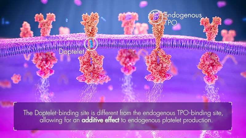 TPO-RA for Chronic ITP Treatment | DOPTELET® (avatrombopag) HCP